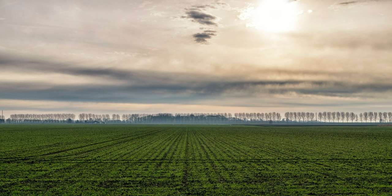 Biesboschpad: rondje Jantjesplaat-Deeneplaat - Wandel