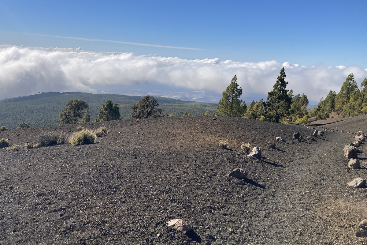 Wandel de GR131 op Tenerife - Wandel