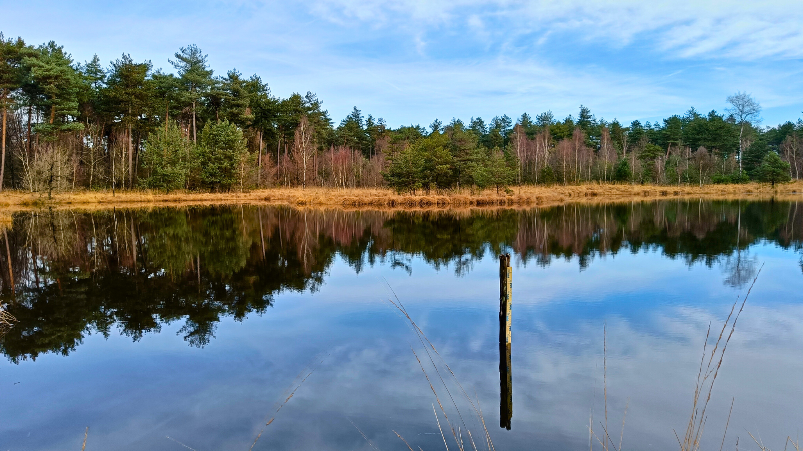 Wandelroute Oisterwijkse bossen en vennen: 14 vennen - Wandel