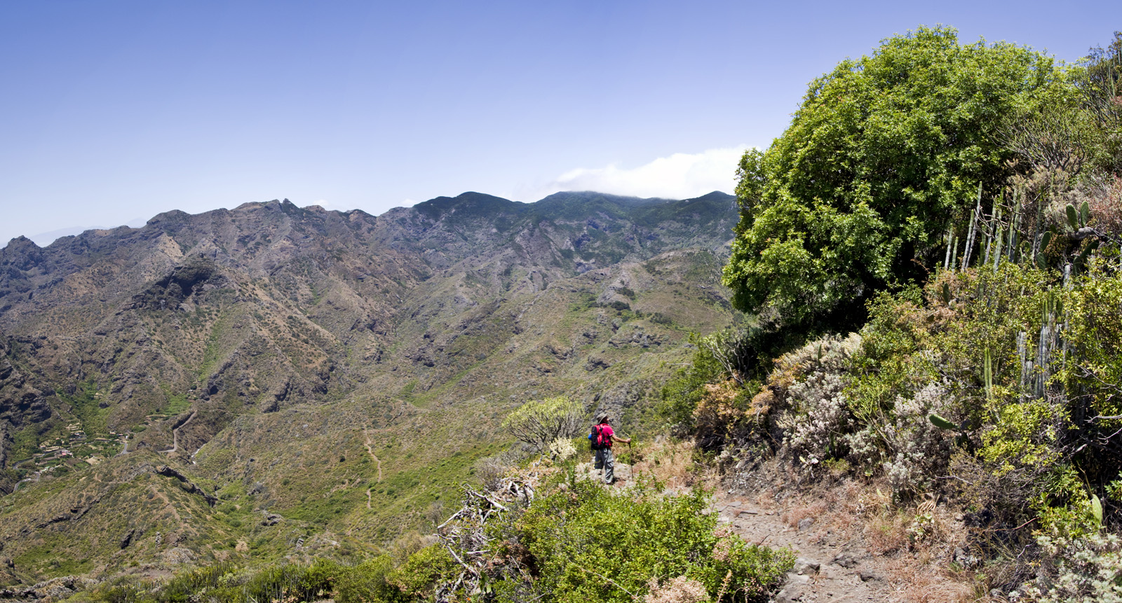 Wandelen in natuurpark Anaga op Tenerife - Wandel