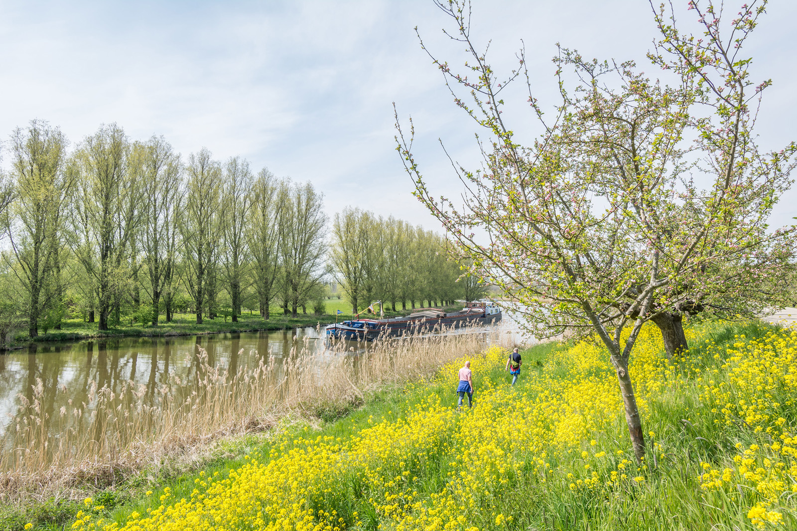 Het Betuwepad: 6 hoogtepunten - Wandel