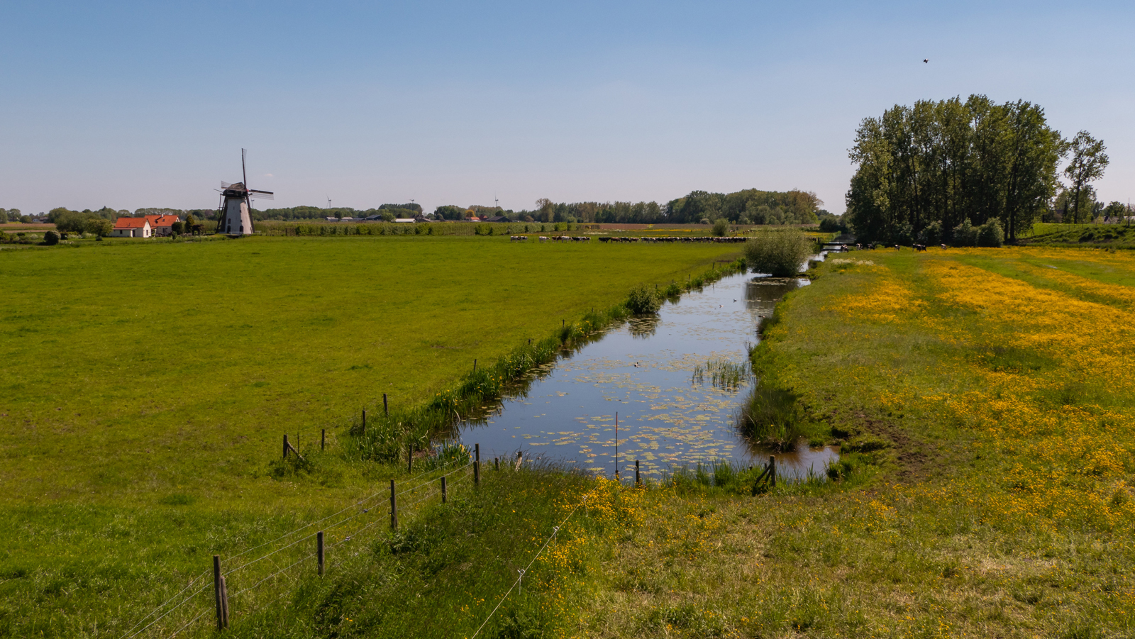 Klompenpad Batouwepad - Wandel