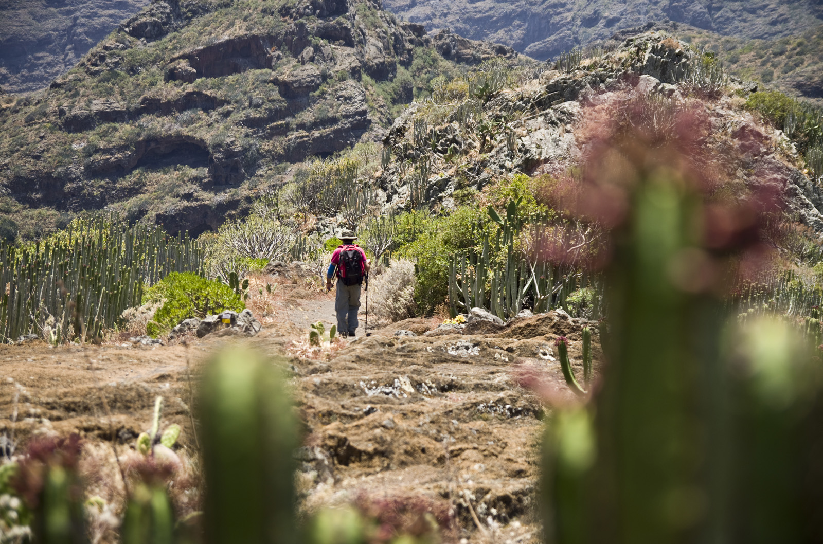 Wandelen in natuurpark Anaga op Tenerife - Wandel