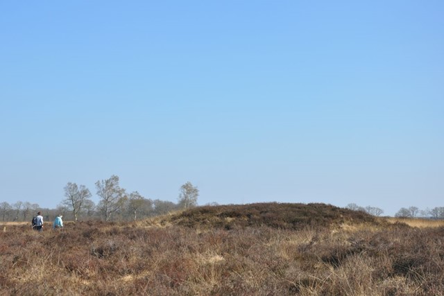 Wandelroute Balloërveld: Balloo - Wandel