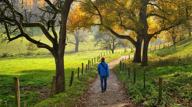 Wandelen en je ademhaling: tips - Wandel